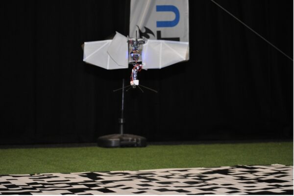 Nature article reveals how flying insects and drones can discern up ...