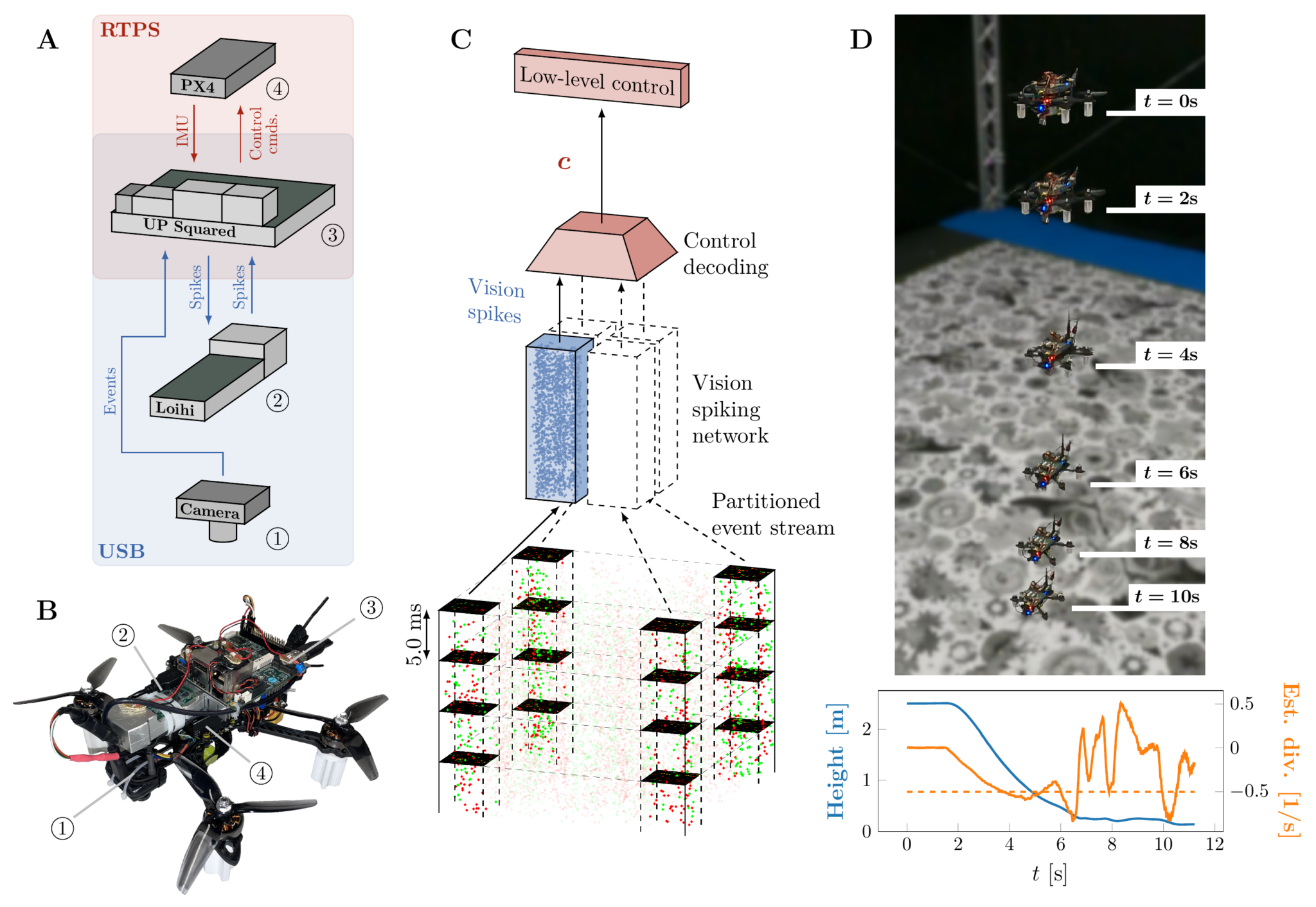 Fully neuromorphic vision and control for autonomous drone flight - MAVLab